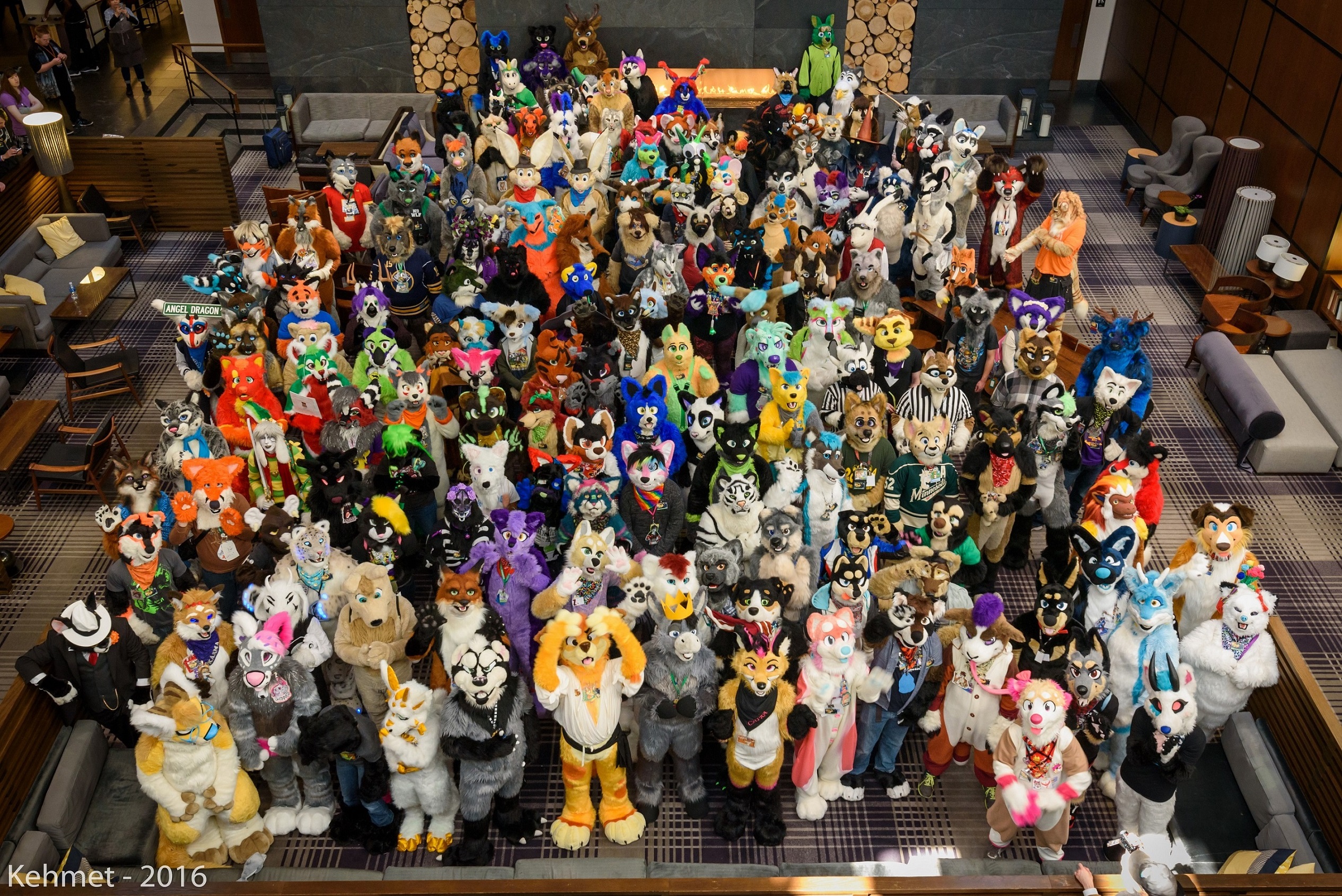 First Batch of Studio Photos! • Furry Migration