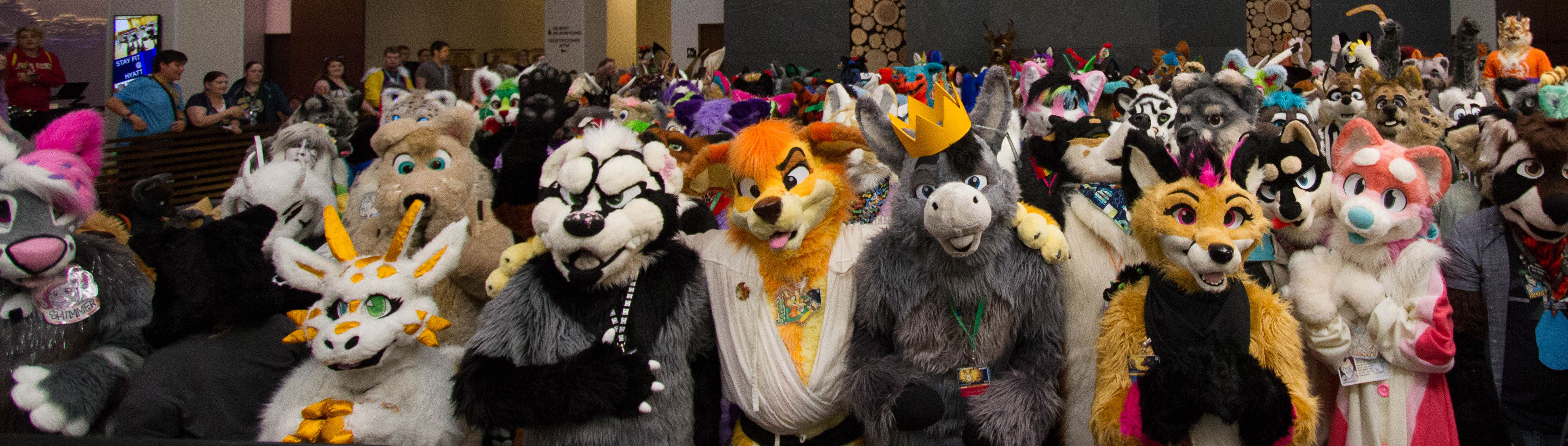 Thank You! • Furry Migration