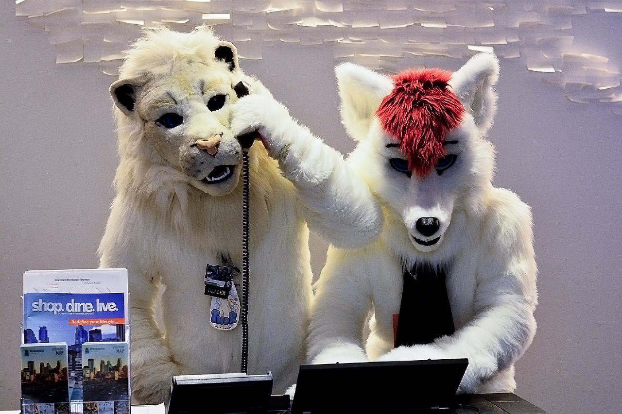 Hotel • Furry Migration